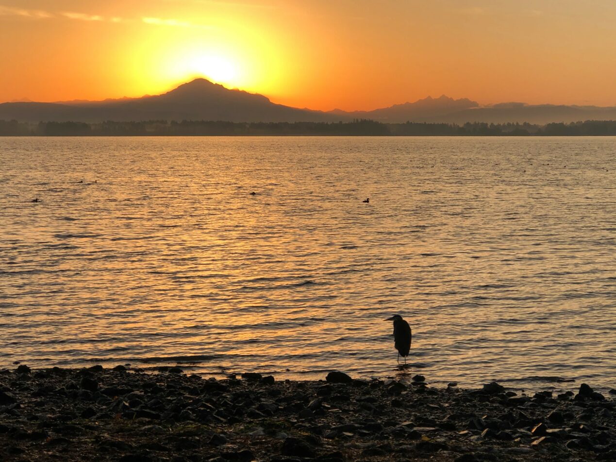 Semiahmoo History | Semiahmoo Resort Assocation