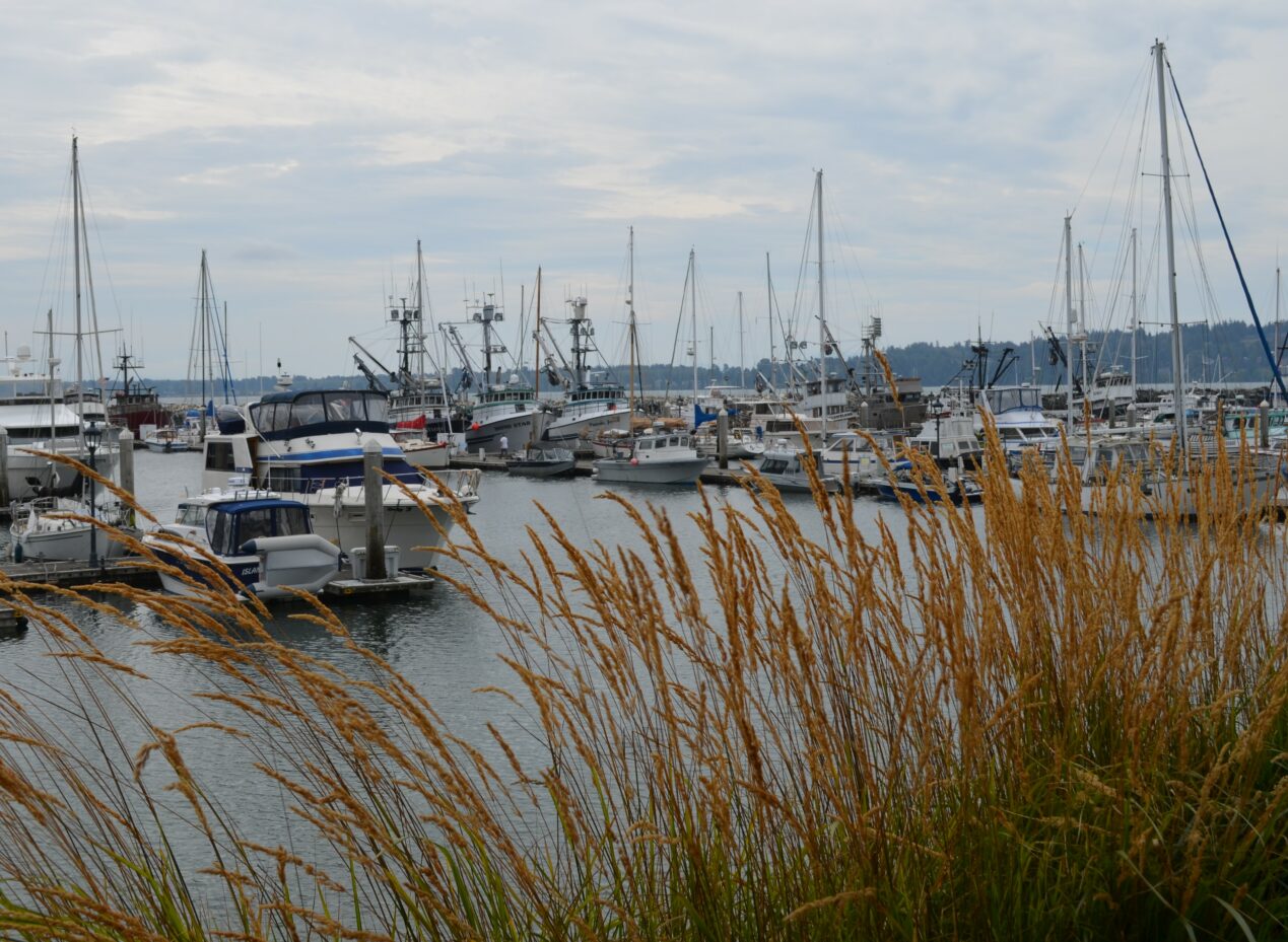 Boating | Semiahmoo Resort Assocation